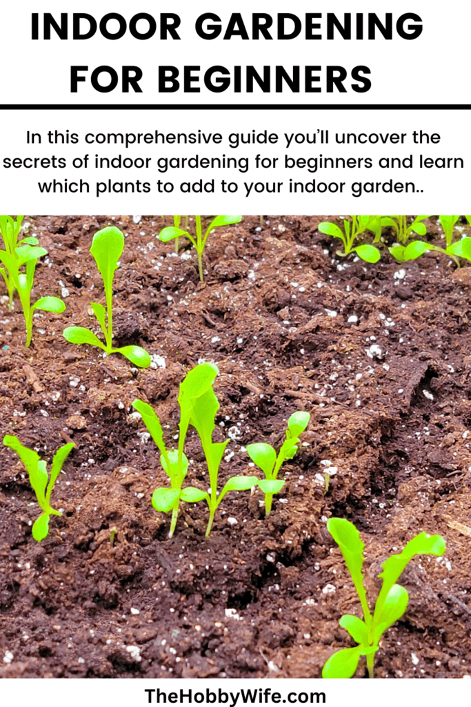 Indoor Gardening for Beginners Complete Guide - The Hobby Wife