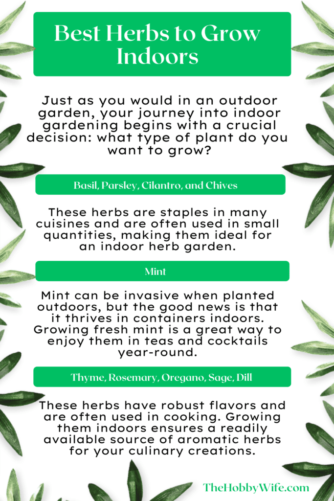 Indoor Gardening for Beginners Complete Guide - The Hobby Wife